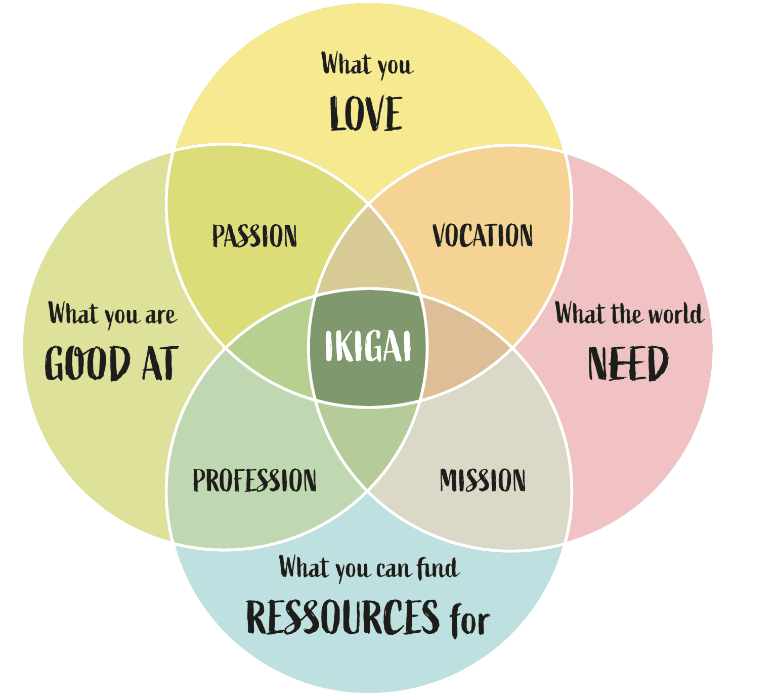 Ikigai+ | Learning Planet Institute